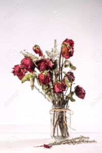 Dry Red Roses Suppliers, Exporters and Manufacturers in Pakistan